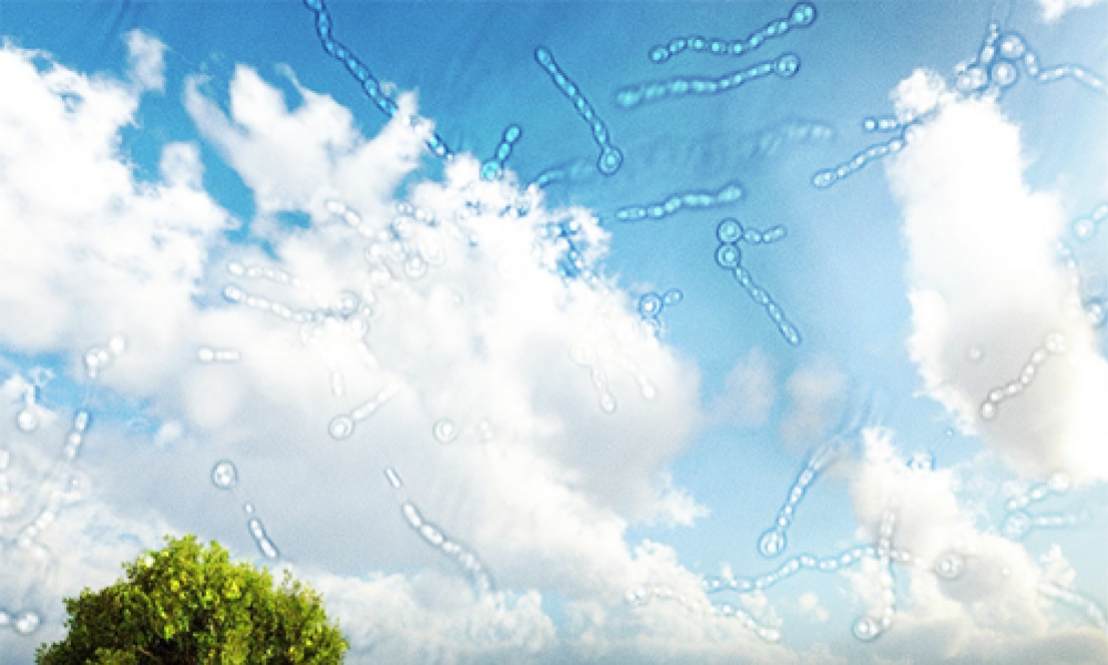 Floaters Mata Benarkah Bisa Diobati dengan Suplemen? – berandasehat.id