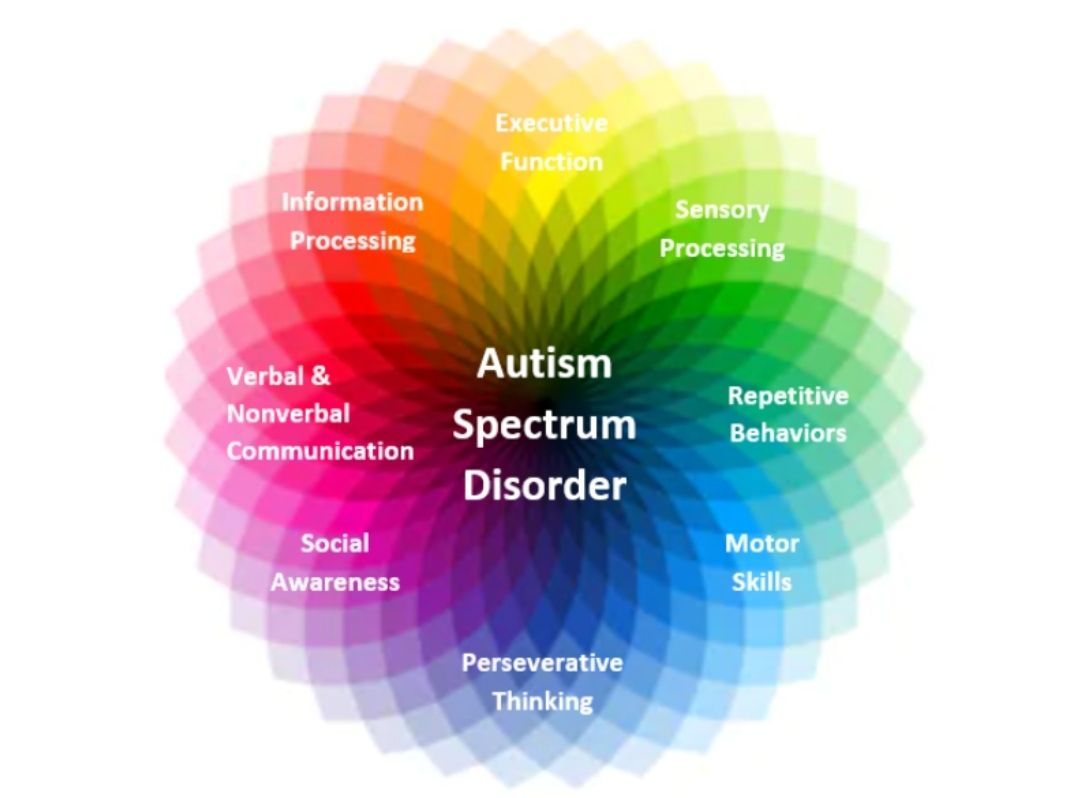 Autisme dan ADHD Bisa Muncul Bersamaan, Pola Konektivitas Otak Beda ...